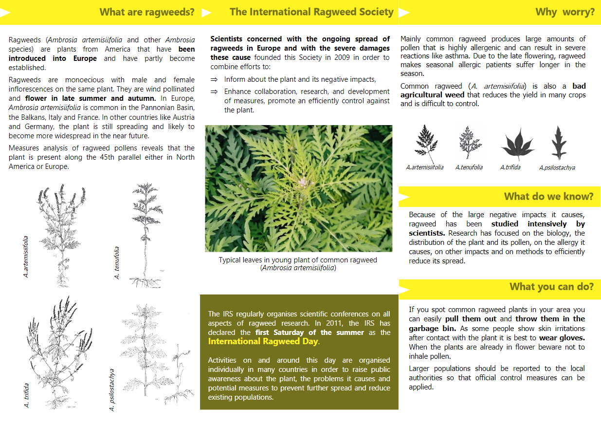 International Ragweed Day – June 25, 2016 – International Ragweed Society